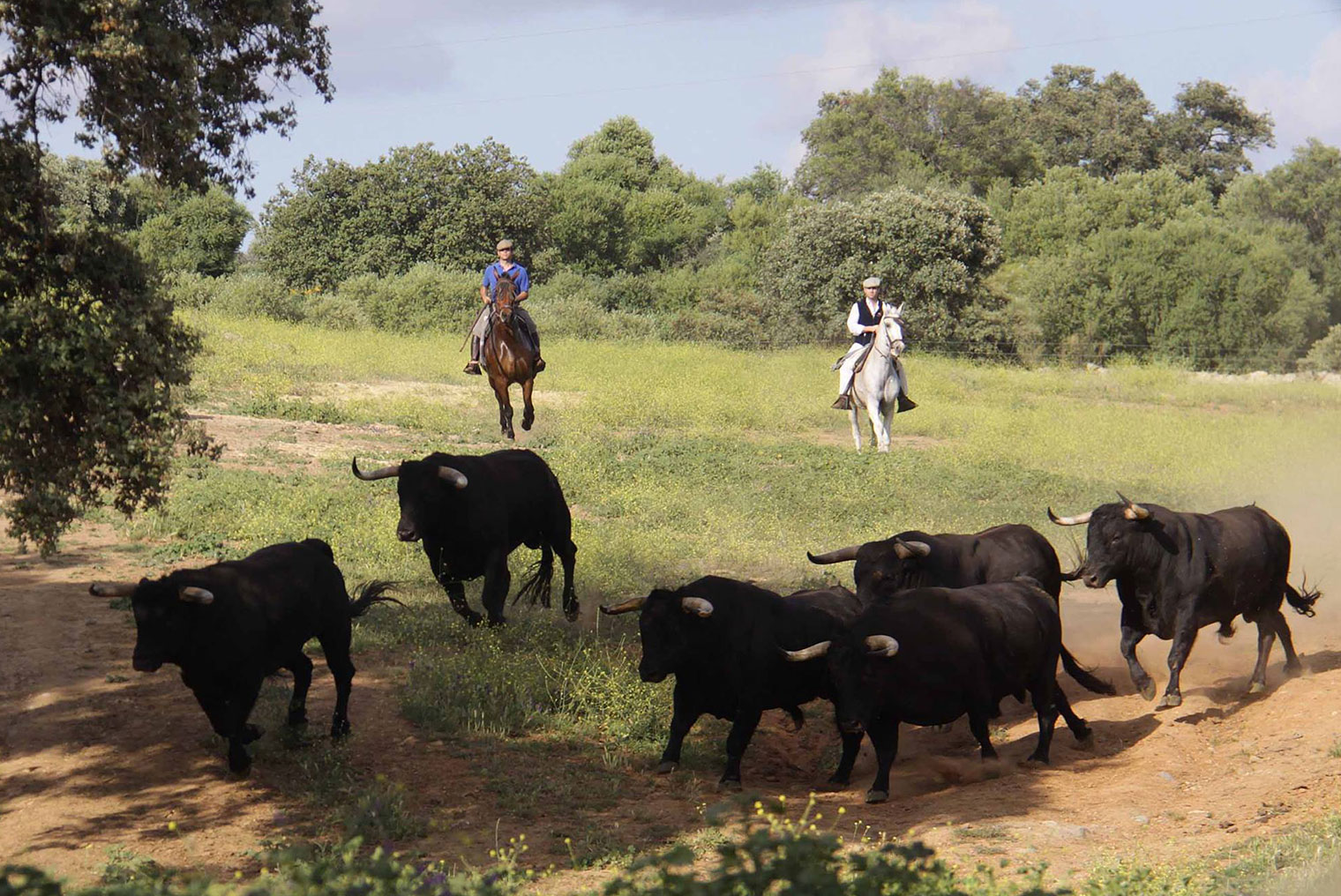 SUR THE LIFE EXPERIENCE - eventoplus.com