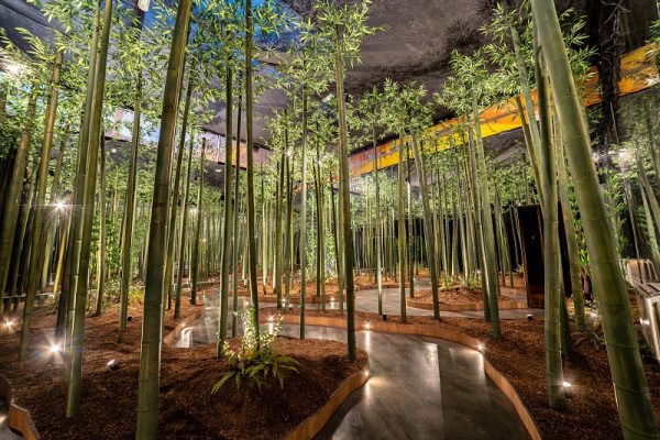 IKONO lands with its immersive experience in Barcelona - eventoplus.com