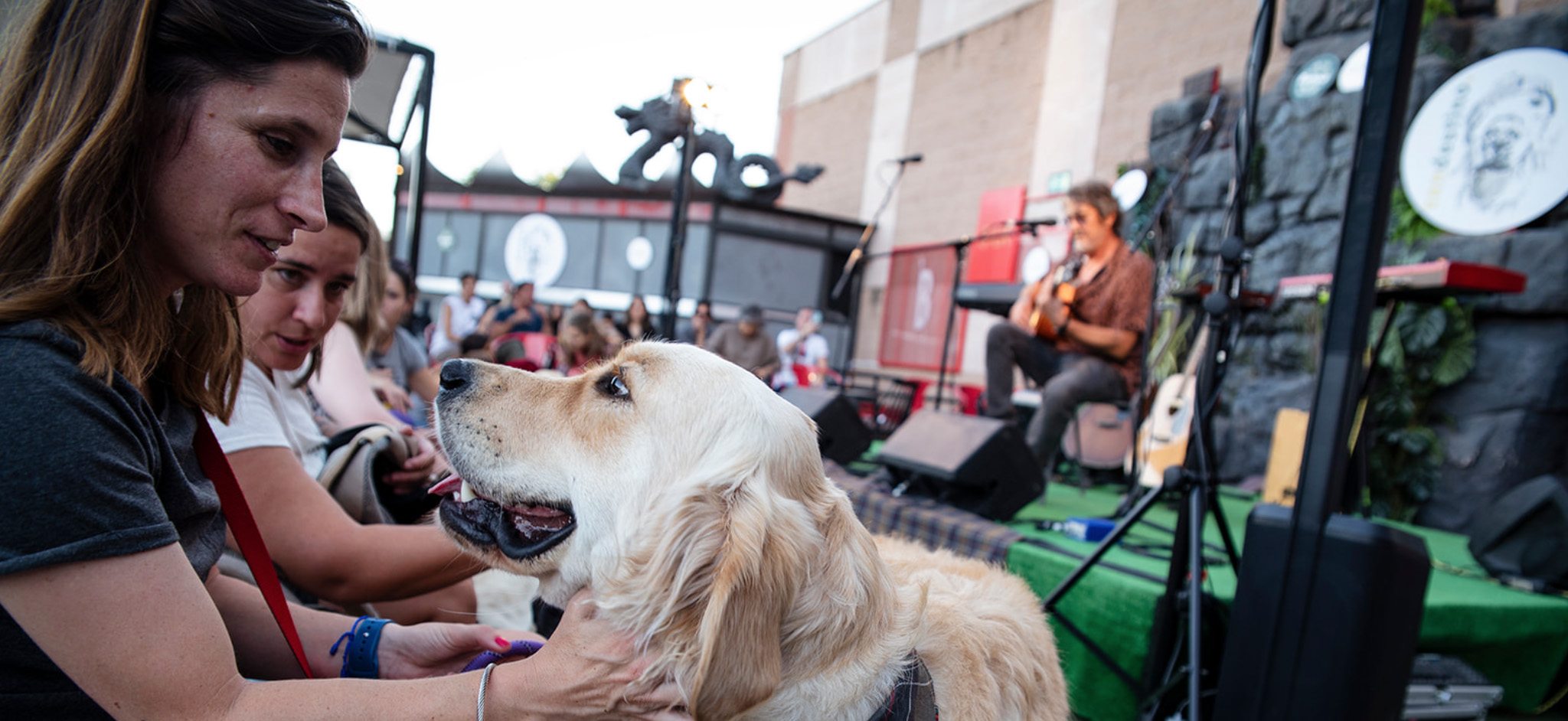 Se Permiten Perros En La Feria De Kutztown